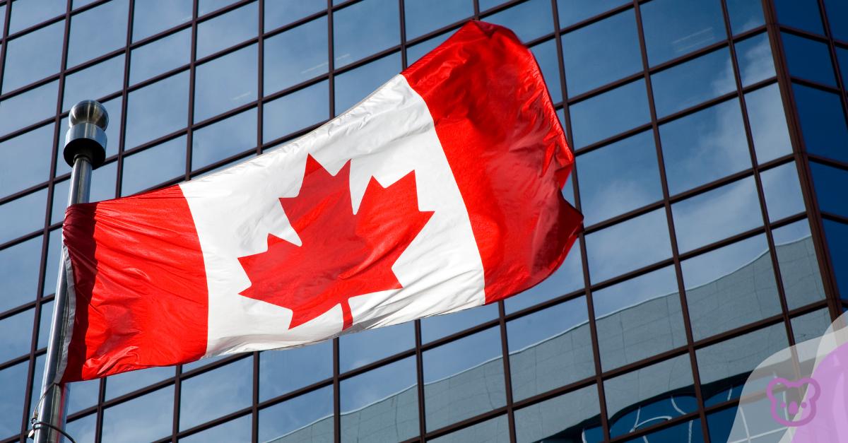 Canada Records Massive Drop in Student and Work Permit Arrivals in 2026 ...